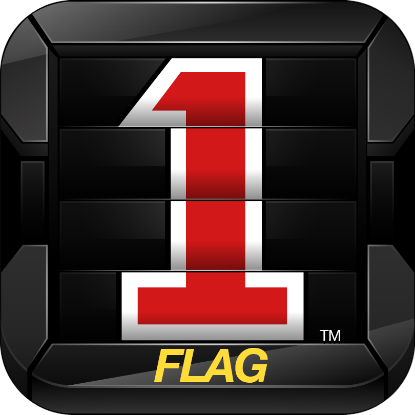 FirstDown PlayBook Partners With The Matt Leinart Flag Football League ...